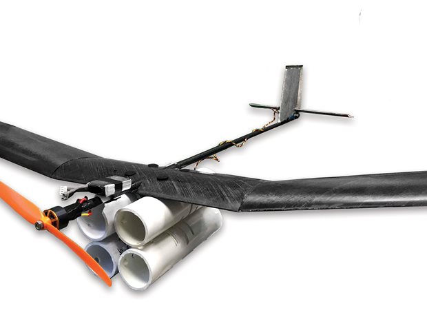 Your Guide to Fir Tree Clips